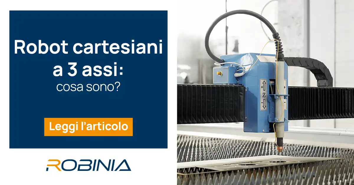 Robot cartesiani a 3 assi: cosa sono? | Robinia